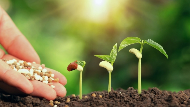 Growing Green: Unleashing the Power of Organic Soil and Fertilizer ...