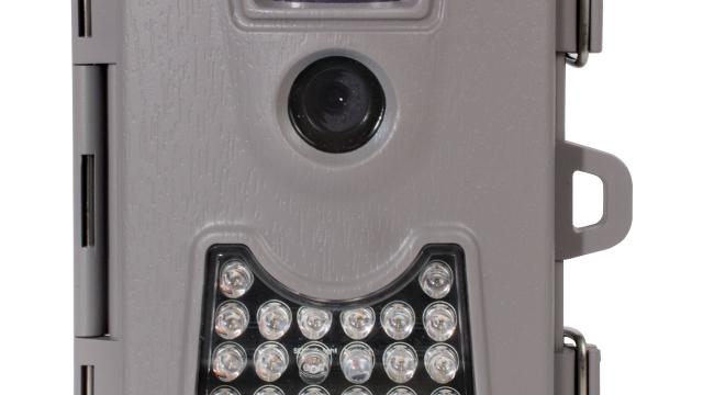 The Watchful Eye: Exploring the Power of Security Cameras - Ruse Global